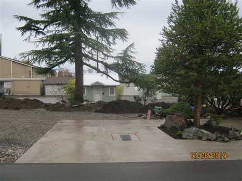 Call Before You Dig Construction And Tree Root Damage Arbor S Edge