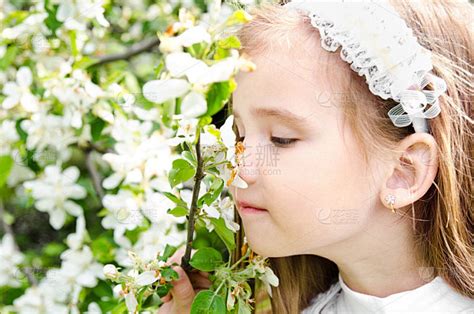 可爱的小女孩闻着花枝