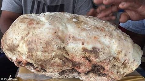 𝙋𝙞𝙣𝙠 𝙇𝙞𝙗𝙧𝙖𝙧𝙮 📖 ခရုခွံလေးများ 📖 🌾🌾🌾🌾🌾🌾🌾🌾 ၆နှစ်သားအရွယ်ကောင်လေးတယောက်နှင့် သူ၏ညီမဖြစ်သူ ၄နှစ်အရ