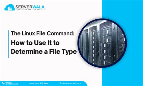 The Linux File Command How To Use It To Determine A File Type Serverwala Blog