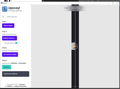 Upscayl Does Not Upscale Issue Upscayl Upscayl GitHub