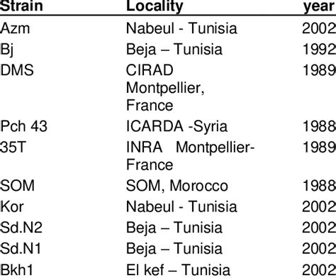 Rhizobium Strains Collected From Different Localities Used In