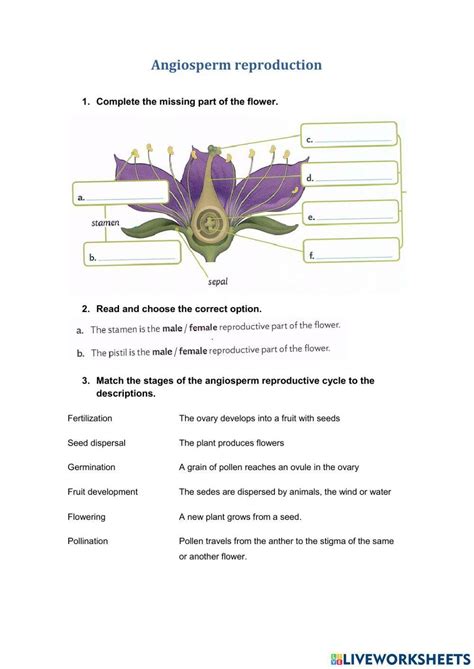 Angiosperm Repr Free Interactive Worksheets 1869665
