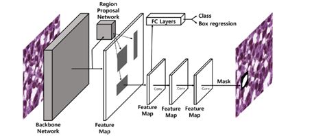 Mask Rcnn Architecture 23 Download Scientific Diagram