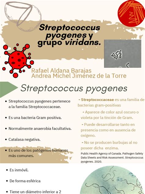 Streptococcus Pyogenes Y Grupo Viridans Diapositivas Pdf Estreptococo Inmunología