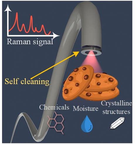 Center For Advanced Research In Drying In Situ Raman Spectroscopy With Self Cleaning Fiber