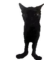 Baldi S Impossible Basics In Failing By Your Average Baldi Nerd