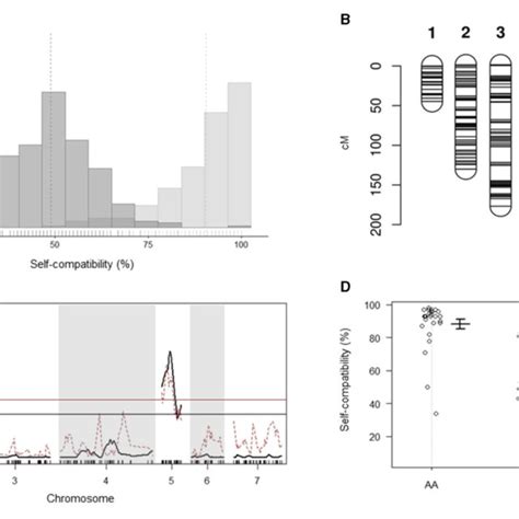 quantitative trait locus qtl analysis for self compatibility sc