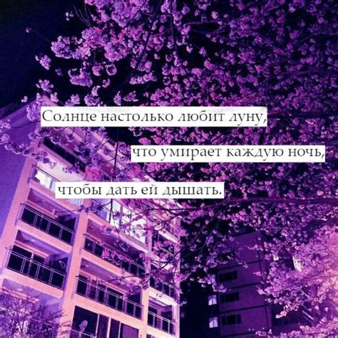 Пин на доске цитаты