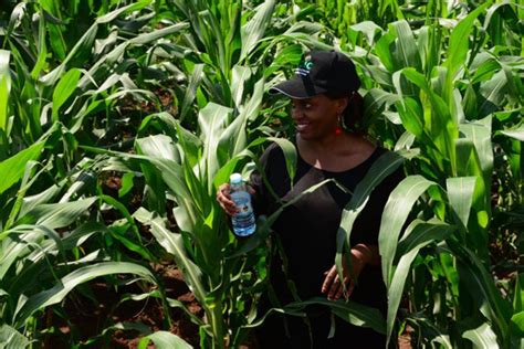 Benefits Of Crop Rotation Mauritius