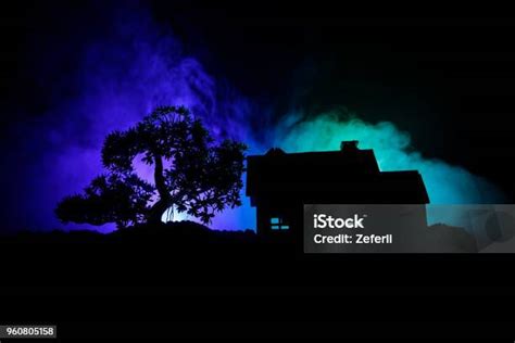 밤에 숲에서 유령 또는 안개에 유령의 공포 집 버려진 오래 된 집 죽은 숲에서 오래 된 신비의 건물입니다 달 밤에 나무입니다 초현실적인 빛 건강관리와 의술에 대한 스톡 사진