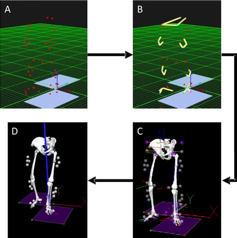 Figure 5 19 From Development And Validation Of A Biplane Fluoroscopy System To Quantify In Vivo