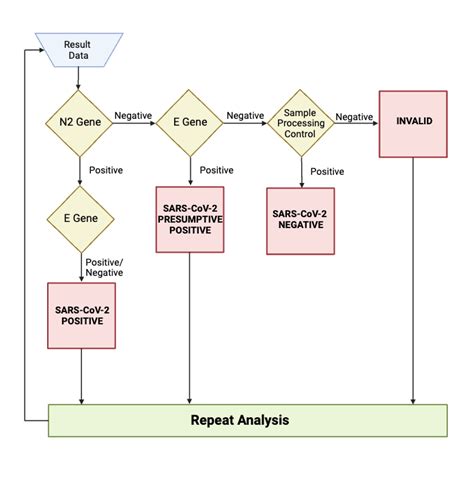 Algorithm Biorender Science Templates
