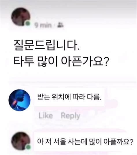 타투많이 아픈가여 유머 움짤 이슈 에펨코리아