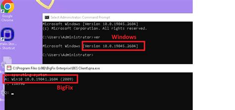 Operating System Version Bigfix Returns Incorrect Data Content