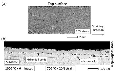 A Top And B Cross Section Optical Inspections Of The Alsi Coating