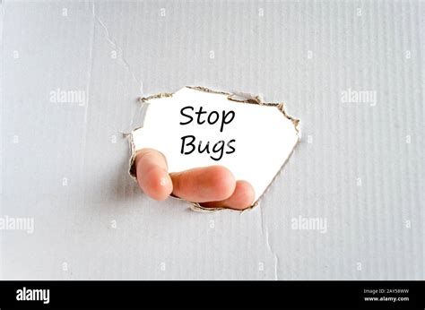 Stop Bugs Text Concept Stock Photo Alamy