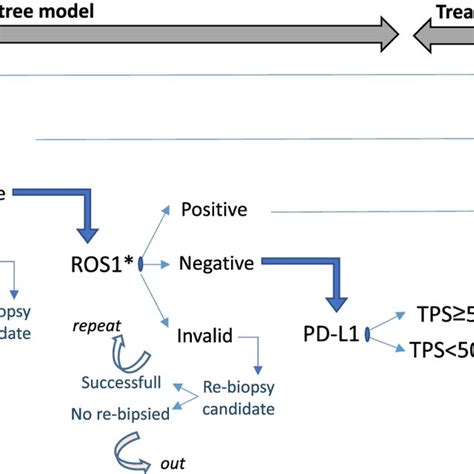 Joint Model Diagram Combining A Decision Tree Model With Markov Model Download Scientific