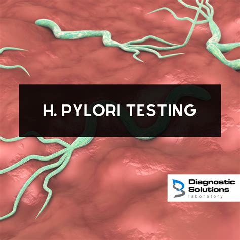 H Pylori Testing — Miss Alexa Nutrition