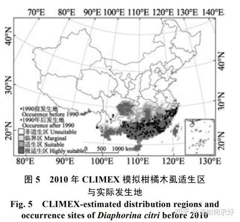 亚洲柑橘木虱 知乎