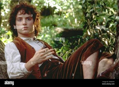 Pics Photos Frodo Frodo Baggins Lives Here New Zealand T Shirt By