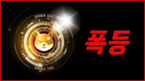시바이누 코인 시바이누 60만 폭등 시기 예언 떴습니다 시바이누 호재 시바이누전망 시바이누목표가 시바이누분석 비트코인 시바이누코인 도지코인 이더리움