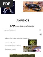 Rana Nodriza Nipu Dea En Colombia Pdf
