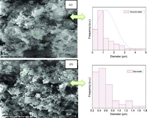 IUCr Shock Wave Induced Nucleation Leading To Crystallization In Water