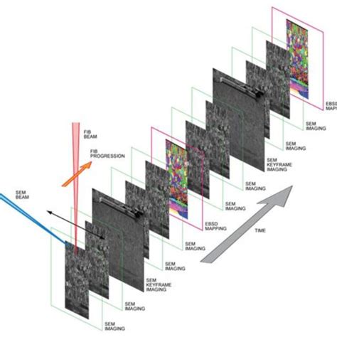 3d ebsd analysis of a ti64 alloy data sown is an orientation map ipf download scientific
