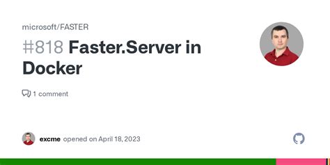 Faster Server In Docker Issue Microsoft FASTER GitHub