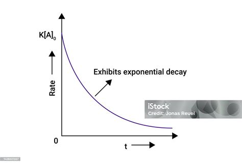 Graph Of Exhibits Exponential Decay Stock Illustration Download Image
