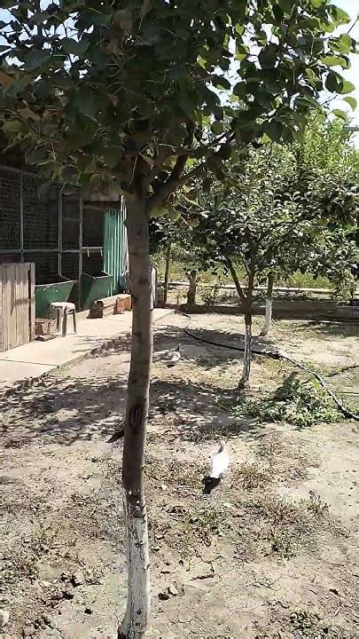 г Моздок Youtube