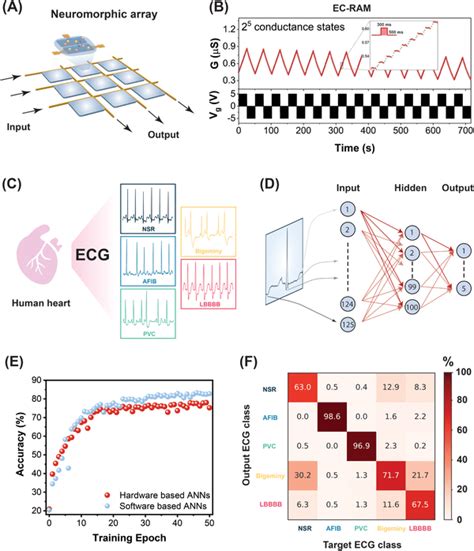 A Schematic Representation Of A Neuromorphic Array Based On P‐3o