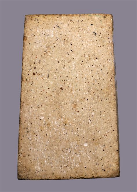 วัดใจ พระสมเด็จวัดเขาตะเครา รุ่นแรก พิมพ์ปรกโพธิ์สดุ้งกลับ เอวใหญ่