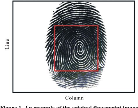 Figure 1 From Accuracy Analysis In Fingerprint Authentication Using The Fractional Fourier