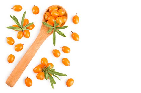 나무 숟가락에 바다 갈매 나무 속 텍스트에 대한 복사 공간과 흰색 배경에 고립 된 잎신선한 잘 익은 베리 맨 위 보기 플랫 레이 패턴 꼭대기에 대한 스톡 사진 및 기타