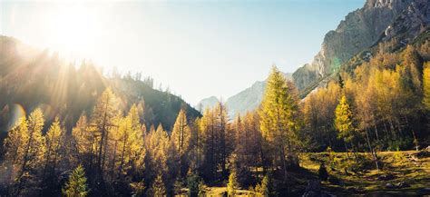 Validation And Verification Heat Reduction