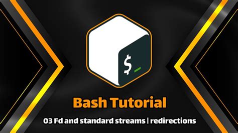 003 File Descriptors And Standard Streams How To Work With