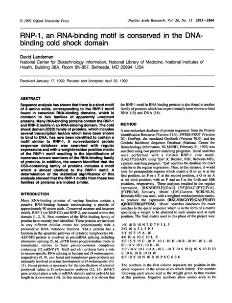 Pdf Rnp 1 An Rna Binding Motif Is Conserved In The Dna Binding Cold Shock Domain