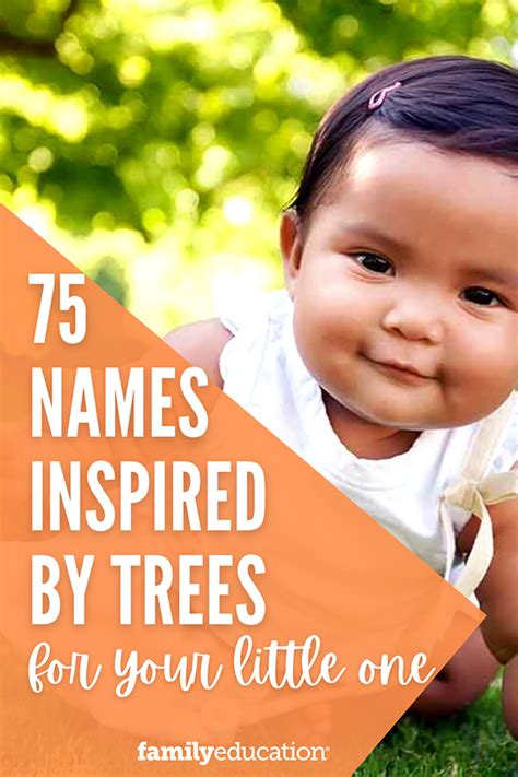 Tree Names Meanings To Inspire Your Baby Name Search FamilyEducation