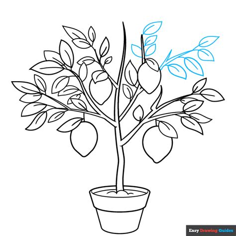 How To Draw A Lemon Tree Really Easy Drawing Tutorial