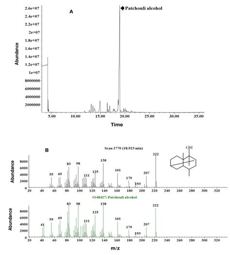 Chromatogram A And Mass Spectrum B Of By Gcms Download