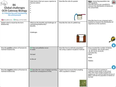 Ocr Gateway Biology Gcse Revision Grid B6 Global Challenges Teaching Resources