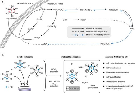 Ip6 Inositol Diabetes Retail Stores | www.oceanproperty.co.th