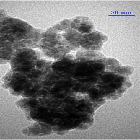 Ftir Spectra Of Fe3o4 Cptes Mnps Fe3o4 Urea Hith Mnps Download Scientific Diagram