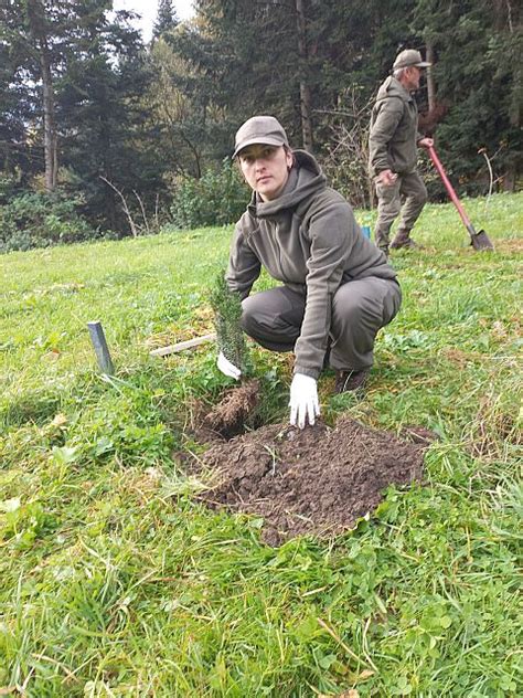 ОЗЕЛЕНЕННЯ ТУРБОТА ПРО ДОВКІЛЛЯ