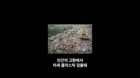 인간의 고환에서 미세 플라스틱 검출돼 건강 관련 기사로 영어 공부해요 같이 공부해요 틀어놓고 따라하고 듣고 말하고 Youtube