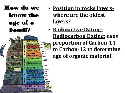 PPT Fossils PowerPoint Presentation Free Download ID 2423298