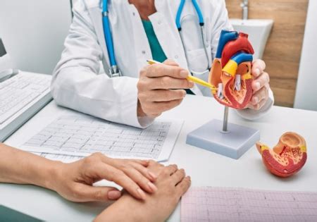 Echocardiogram Reads And Interpretations 45 Per Study