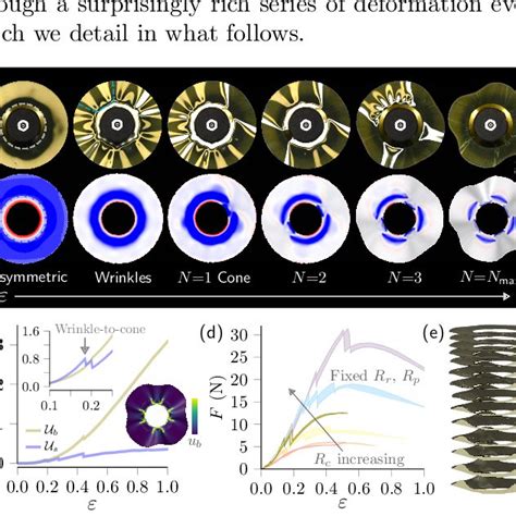 Images From A Representative A Experiment And B Simulation Where Download Scientific